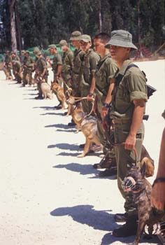 From Rudolphina Menzel to Unit "Oketz" – Dogs on Top